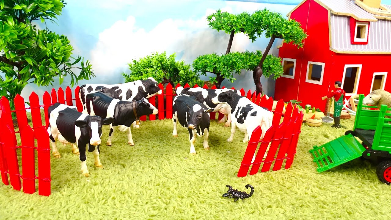 Cows in the farm/ Toros/Cows/Bulls/Vacas/Mucche/scorpione - YouTube