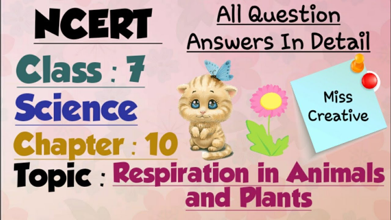 Class : 7 Science Chapter : 10 Respiration In Animals and Plant NCERT ...