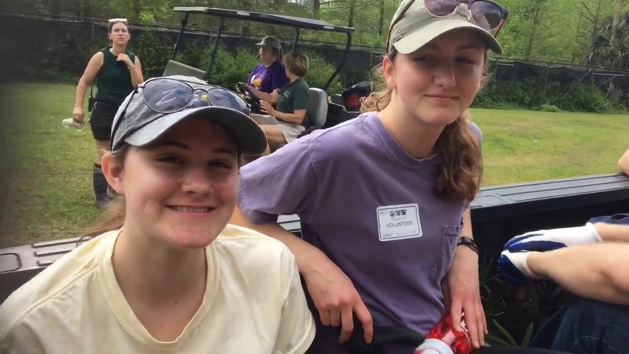 Miner Challenge Advisor Video 2019 - YouTube