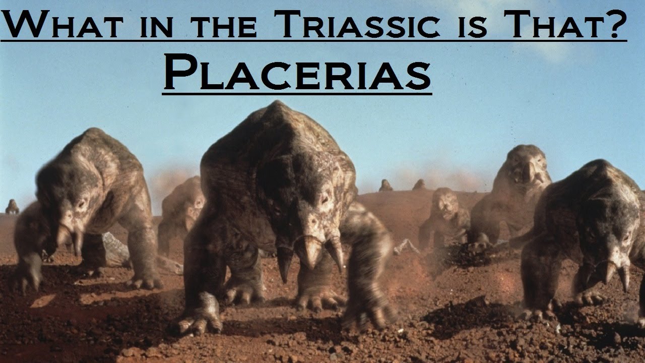 Prehistoric Breakdown: Placerias - YouTube