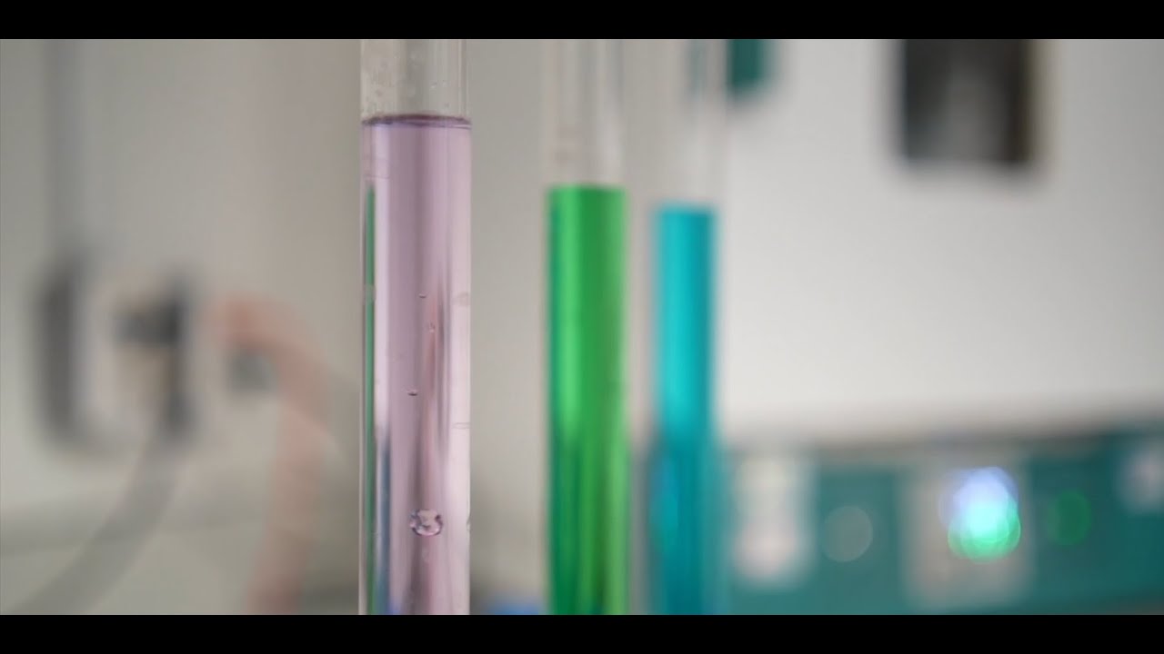 Univar Solutions Presents Innovation Day 2023: The Future of ...