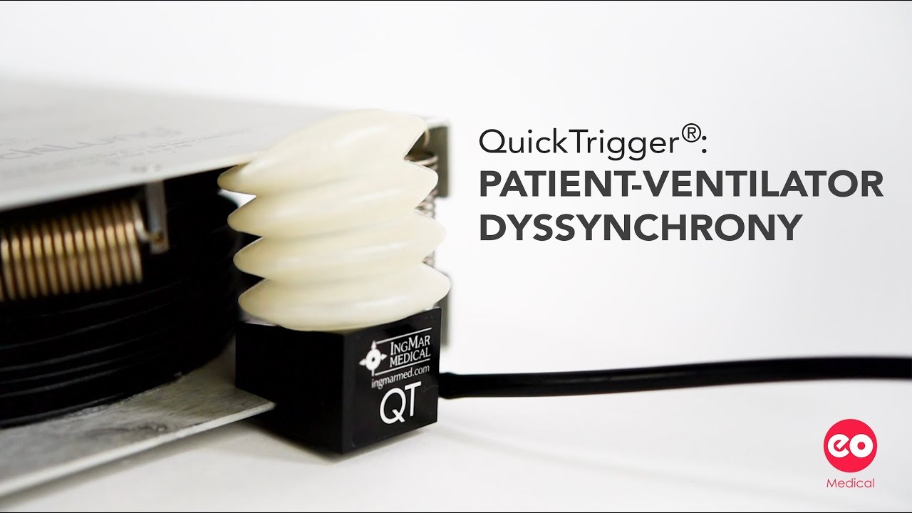QuickLung & QuickTrigger: How to Simulate Patient–Ventilator ...