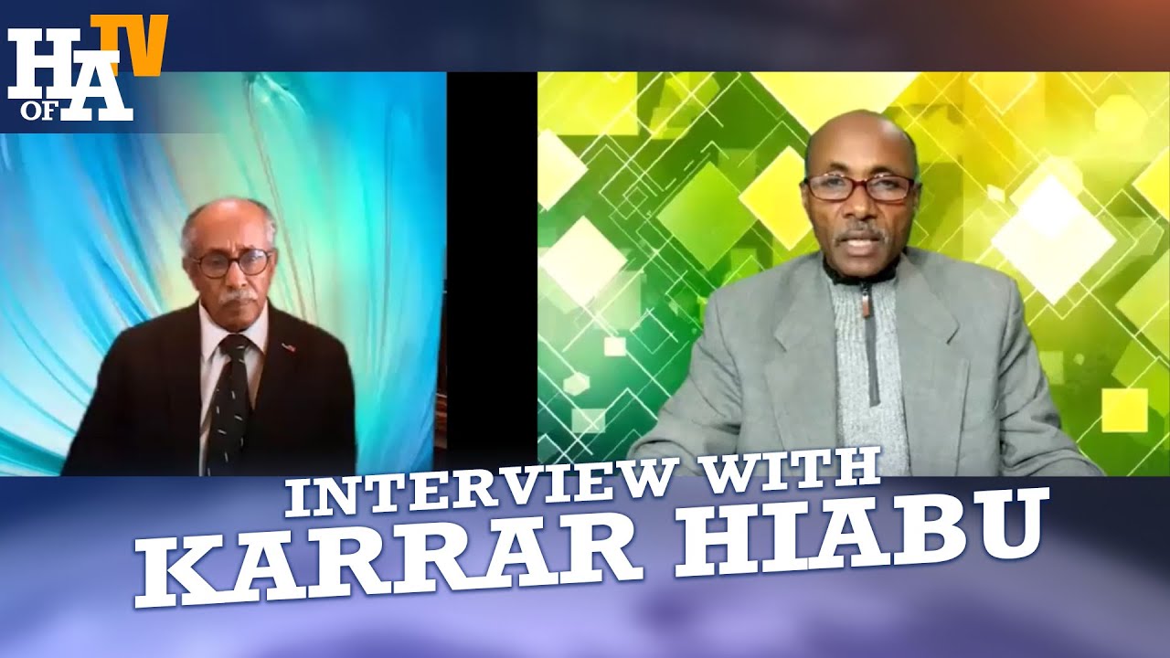 HoA TV - Interview in Arabic with Karrar Hiabu - YouTube