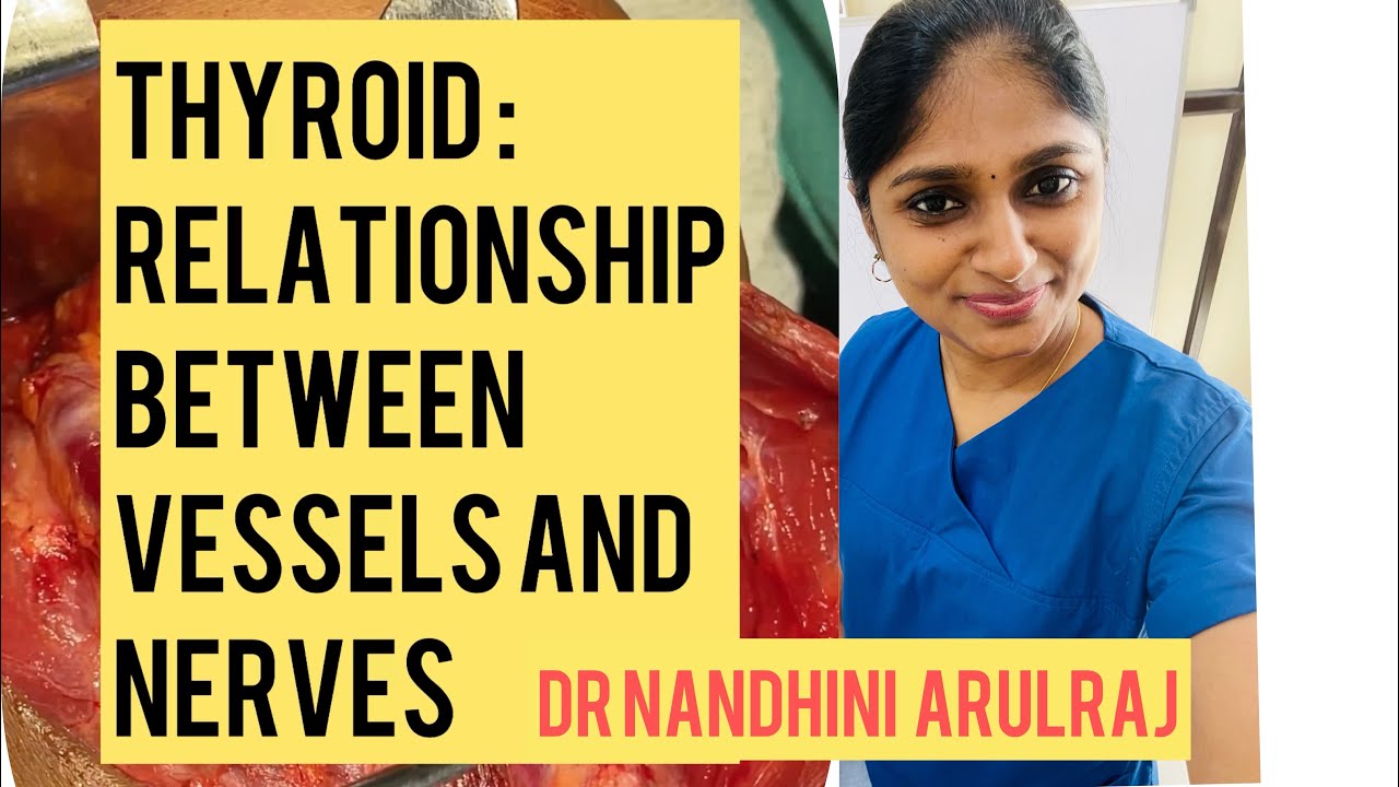 Surgical Anatomy of thyroid gland | RLN and EBSLN| Triangles in thyorid ...