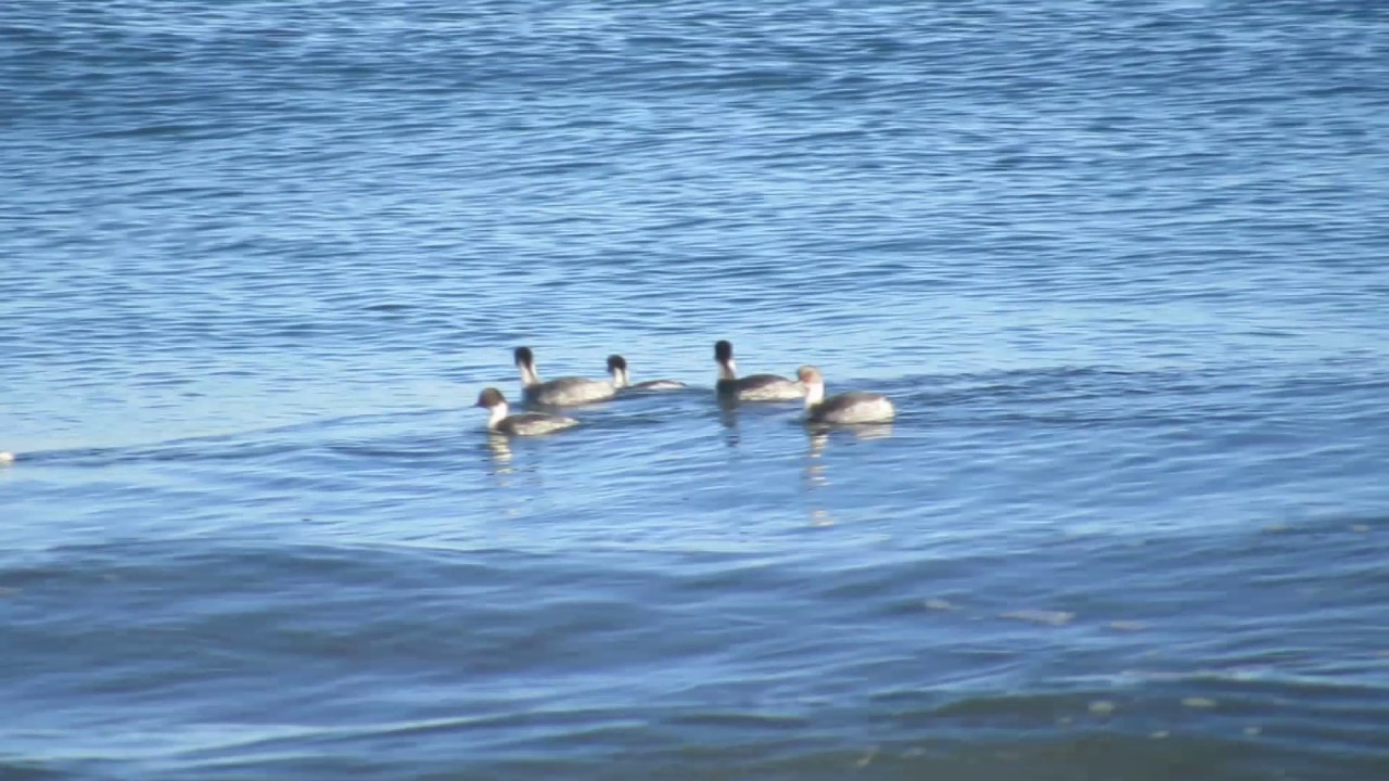 LA SERENA - Cuarta región de Coquimbo - Chile - 8 - YouTube