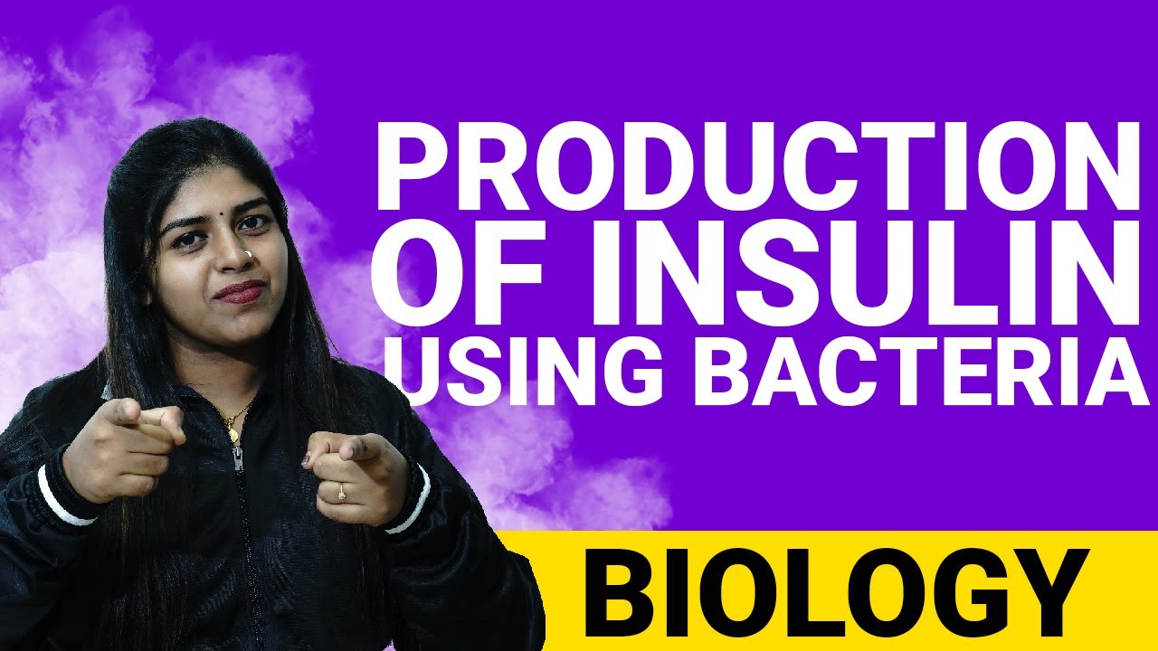 PRODUCTION OF INSULIN USING BACTERIA|BIOLOGY|DR.JP'S JUNIOR - YouTube