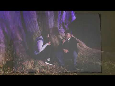 EL TIMBÓ - LAS HISTORIAS DEL TIMBÓ - YouTube