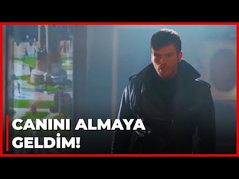 Kuzey, Mori Şevki'nin Mekanı Bastı! - Kuzey Güney 60. Bölüm