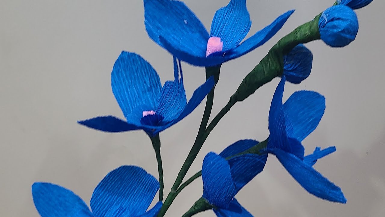 របៀបកាត់ផ្កាអគីដេងាយៗ how to make a beautiful orkide flower 🌼 - YouTube