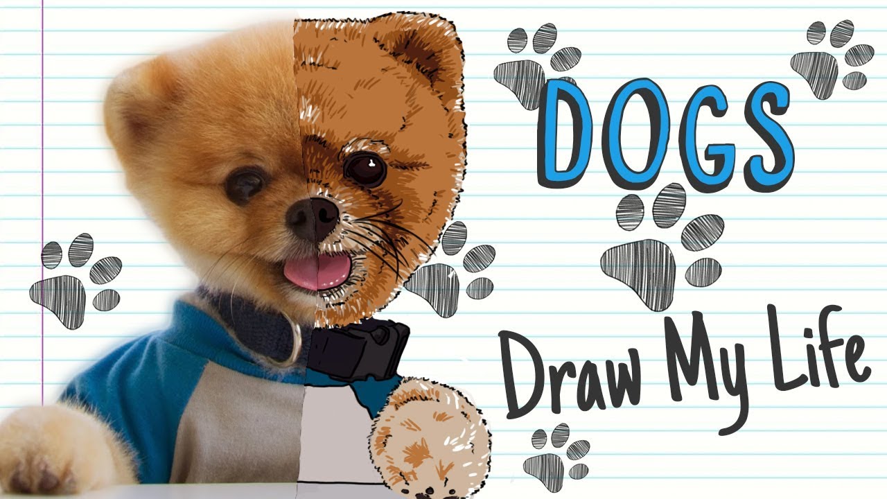 DOGS 🐶 | Draw My Life - YouTube