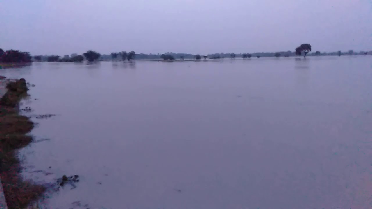#video water full - YouTube