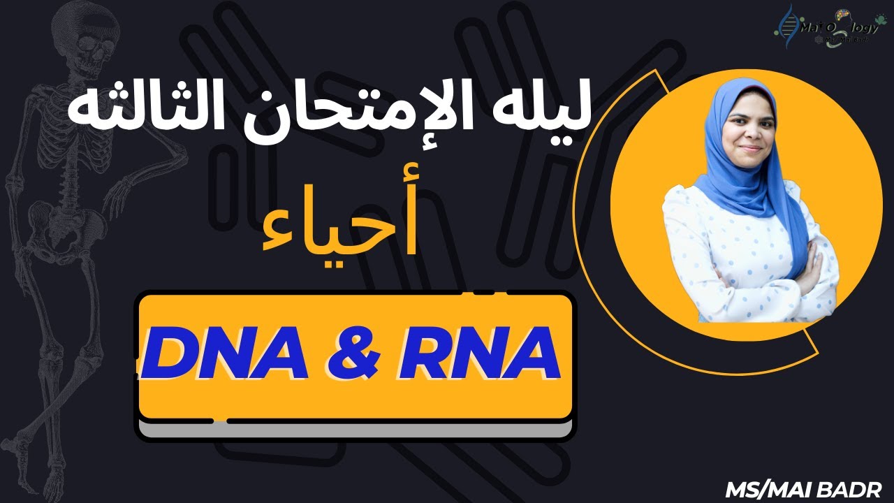 مراجعه ليله الإمتحان (3) أحياء الصف الثالث الثانوي (DNA & RNA) | Mai ...