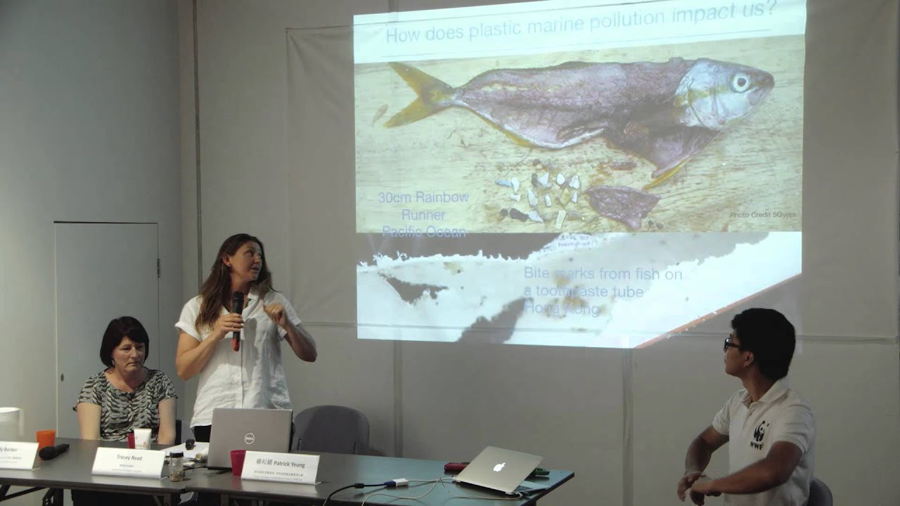 Rubbish Bay - From Lap Sap Wan to the Marine Litter Problem in Hong ...