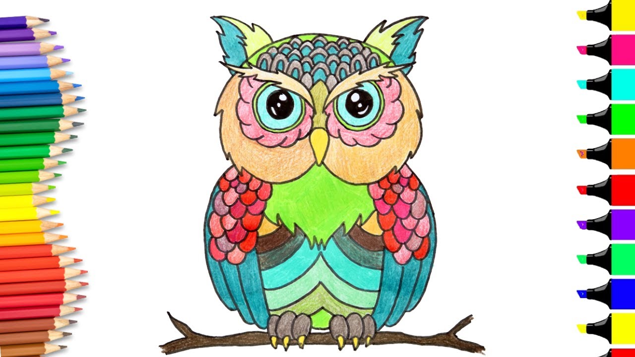 How to draw owl so beautiful | Colorful Owl drawing step by step - YouTube