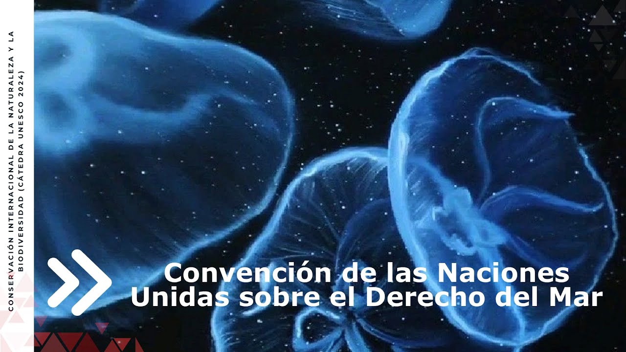 Convención del Derecho del Mar y la Biodiversidad Marina - YouTube