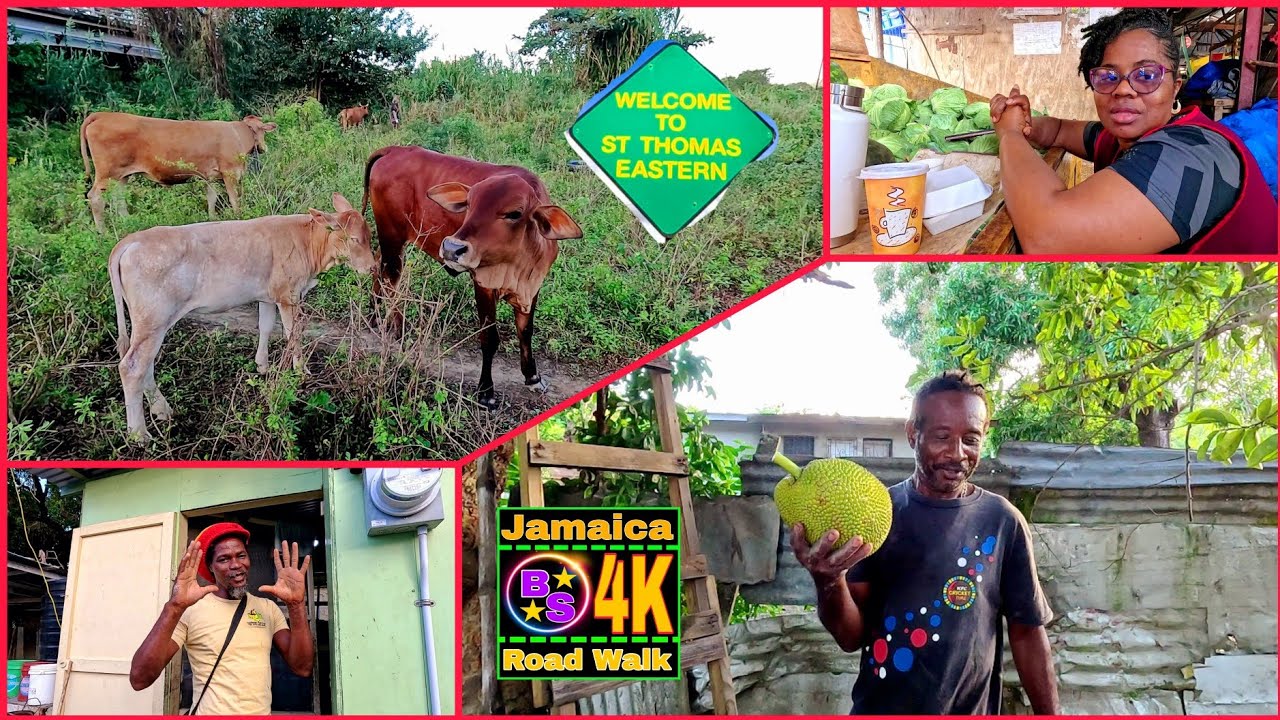 Link up RASTA Pon The FARM Eastern ST THOMAS Jamaica - YouTube