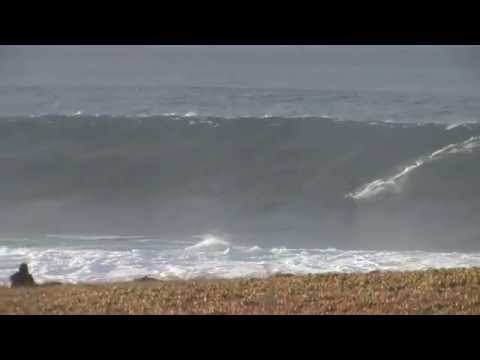 BIG Ghost Tree - YouTube