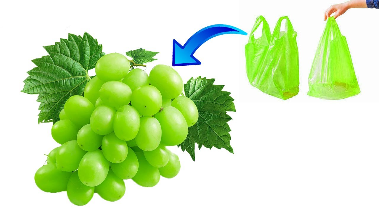 Best out of Waste Idea || Handmade Grapes Decoration Using Plastic Bag ...