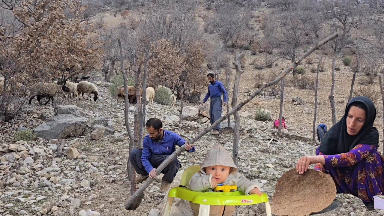 Daily nomadic life and making a place for sheep to stay by Ali and ...