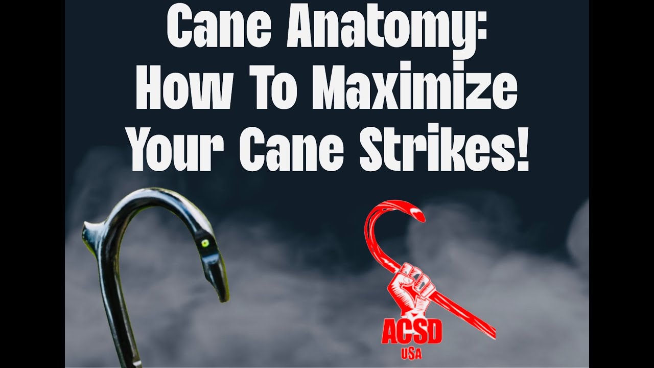 Cane Self Defense: Cane Anatomy- How To Maximize Your Cane Strikes ...