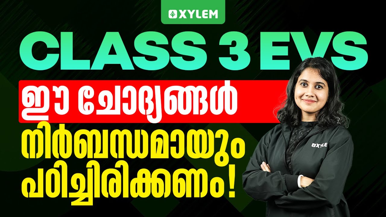 | Xylem Class 3 - YouTube