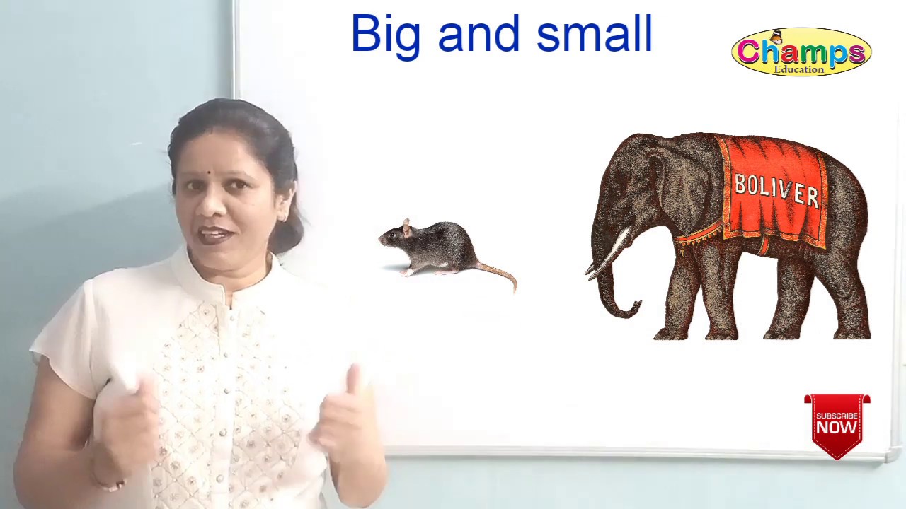 Big Vs Small Concept Big And Small Comparison For Kids Concept big-vs-small-concept-big-and-small-comparison-for-kids-concept