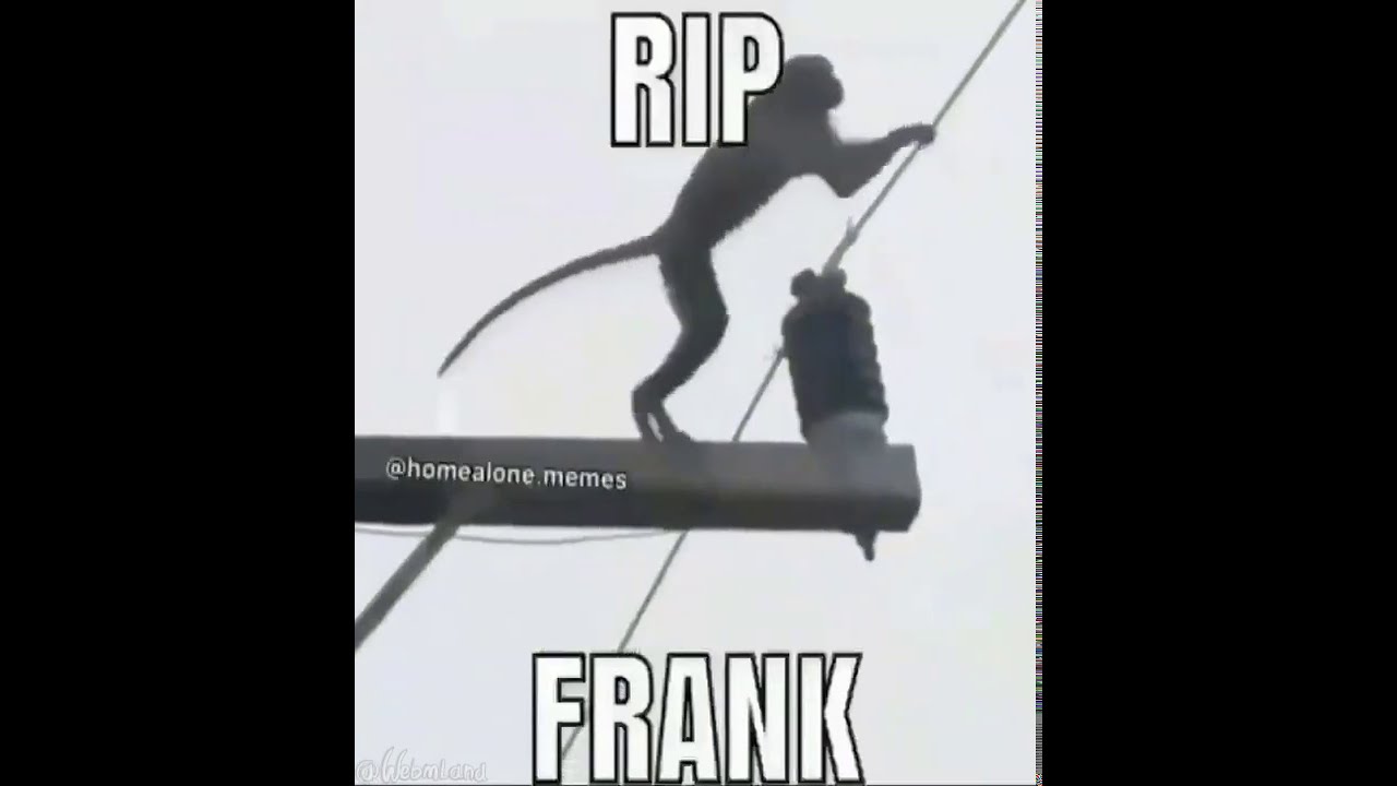 RIP le Frank [meme] - YouTube