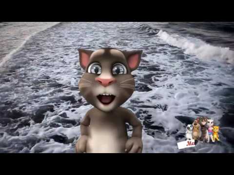 Tom(mersinli kedi) şarkı söylerse