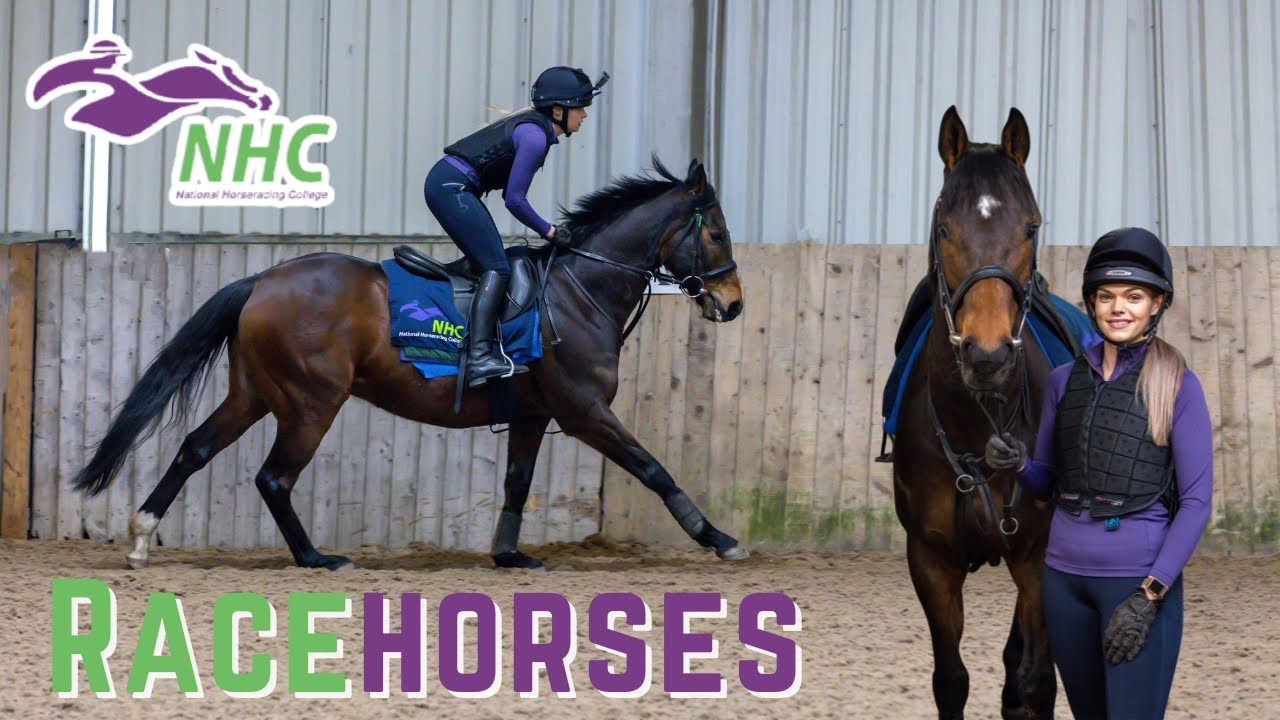 RIDING RACEHORSES Part 1 🏇🏽 | GIVE IT A GO | LilPetChannel - YouTube