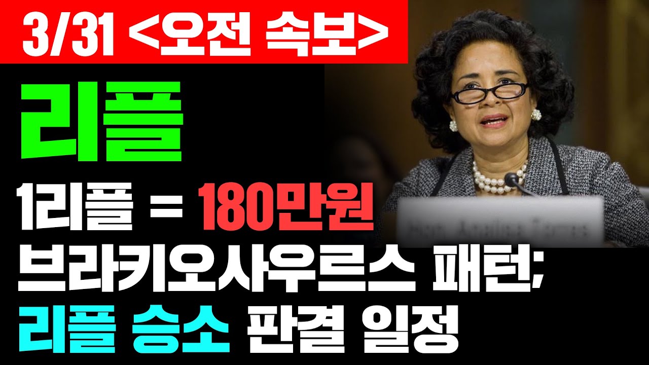 331 오전 속보 리플1리플 180만원 브라키오사우르스 패턴리플 승소 판결 일정리플코인전망 리플코인호재 리플전망 리플코인 리플 Youtube