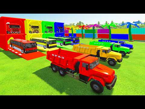 Colorful trucks - ALL COLORFUL KAMAZ DUMP TRUCK, IKARUS BUS TRANSPORTING AND PARKING TO GARAGE