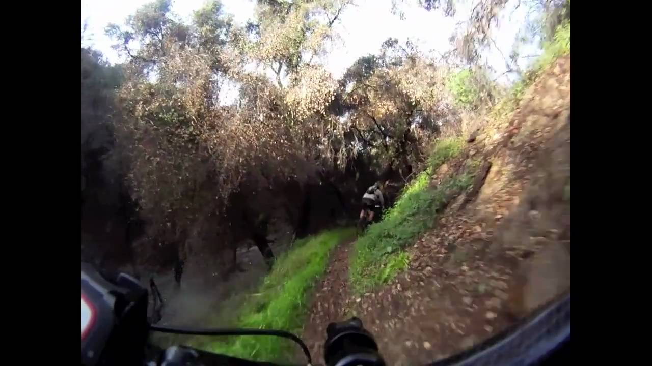 Todd El Prieto Trailer - YouTube