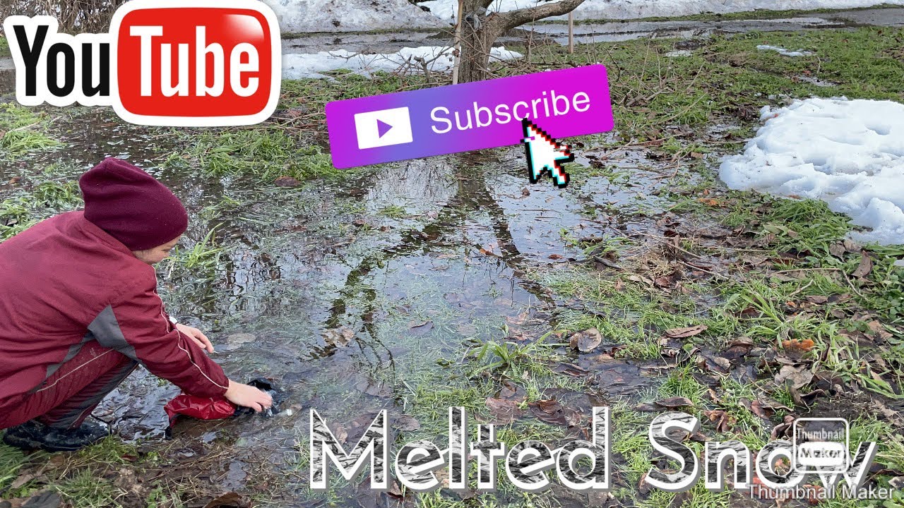 Melted Snow/Persimmon field during winter - YouTube