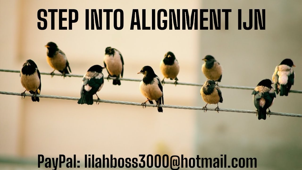 STEP INTO ALIGNMENT IJN - YouTube