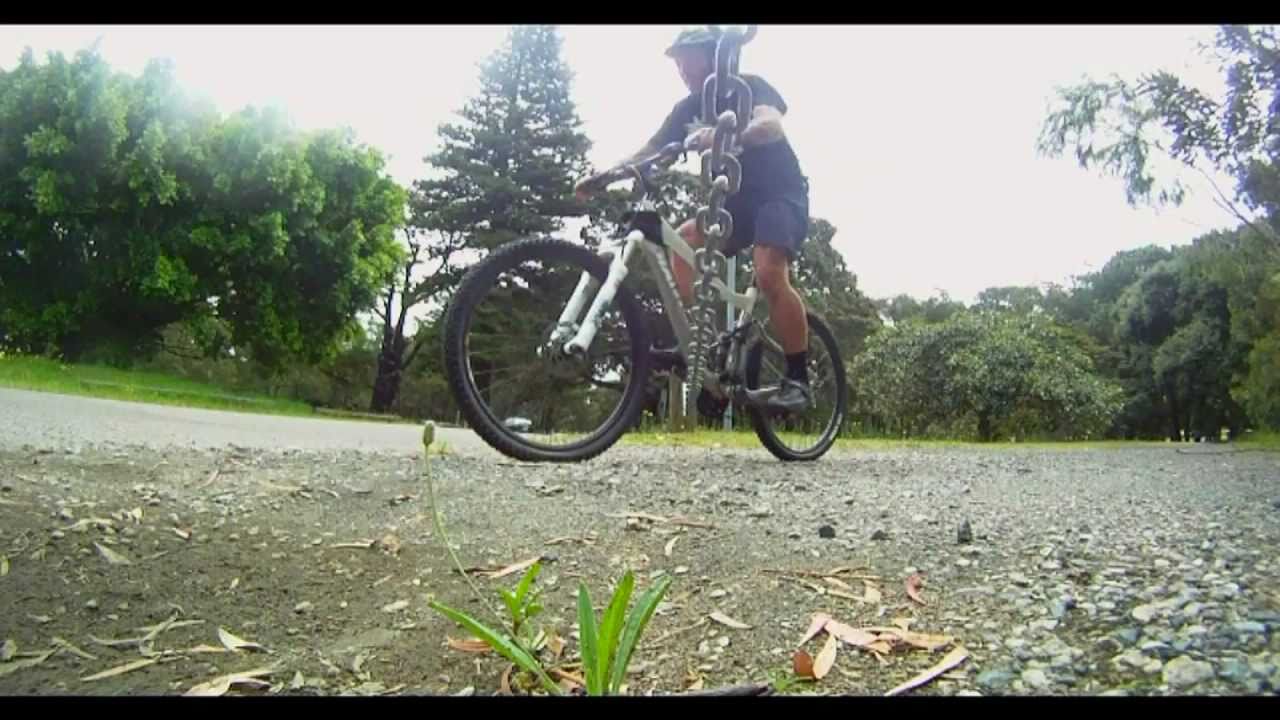 Tree wipe out ! - YouTube