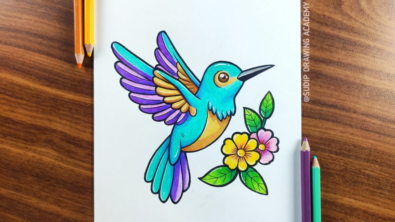Colorful bird drawing 😍 | Easy bird drawing with color pencil ️ - YouTube