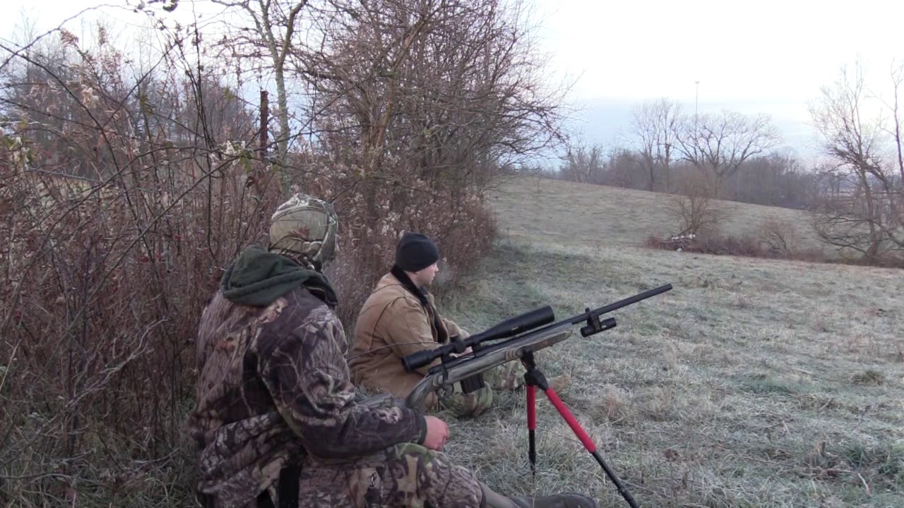 cold shot gun coyote - YouTube