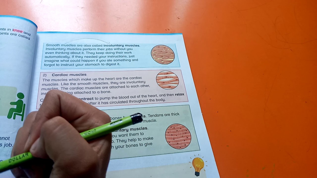 Science Grade 4 | Lecture 02 - YouTube