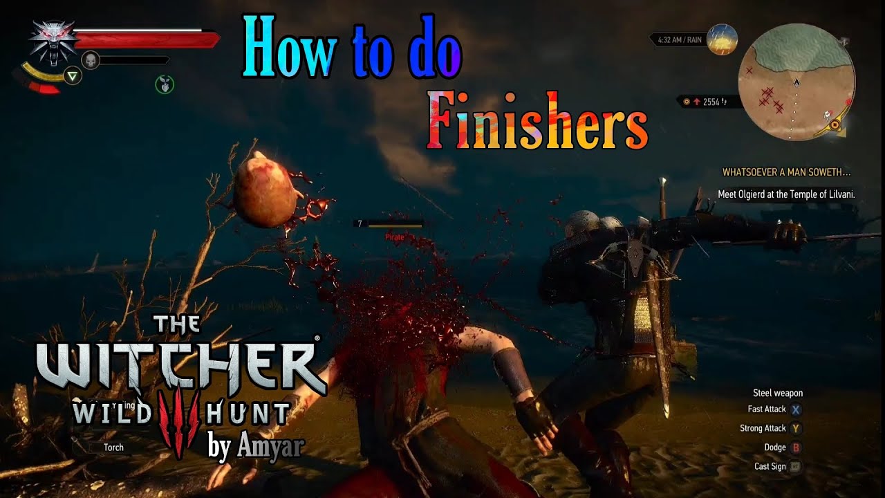The Witcher 3 Wildhunt How to do special executions or Finishers🗡🤩 ...