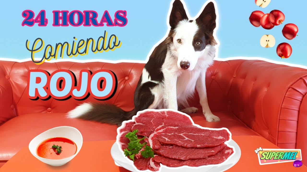24 HORAS COMIENDO ROJO/ Un día entero comiendo comida Roja - YouTube