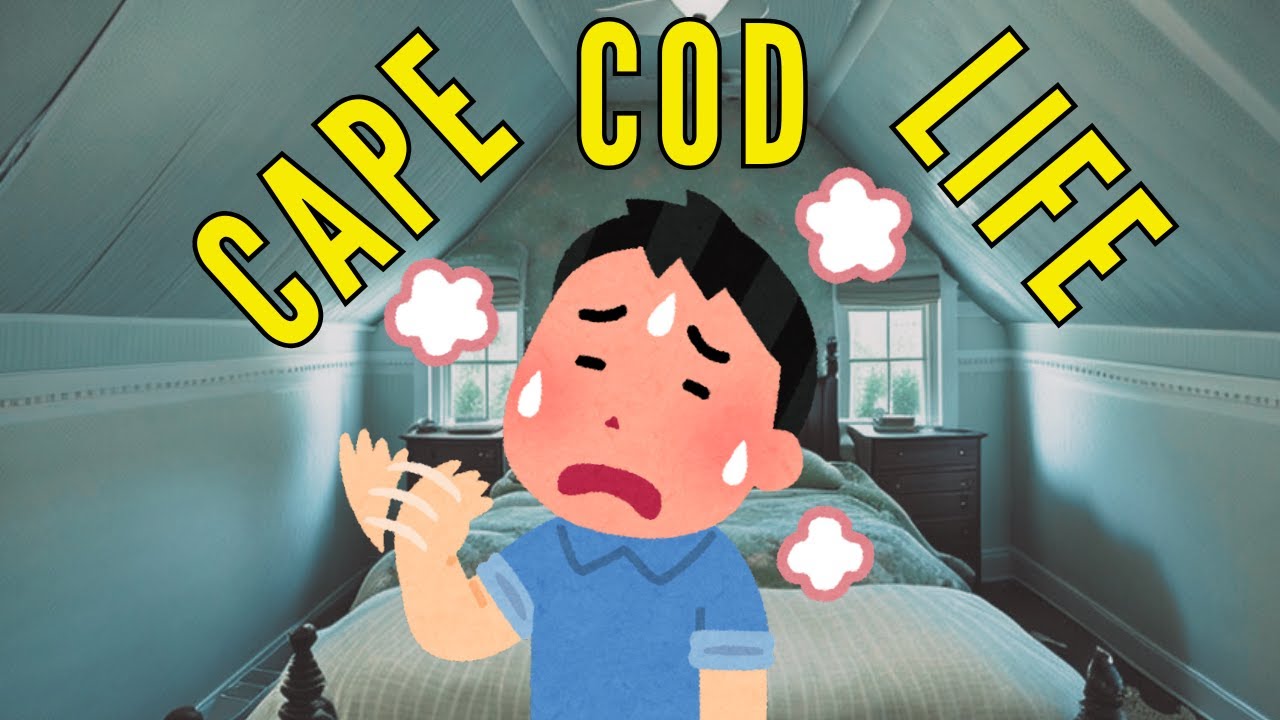 🏠 How to Insulate a Cape Cod-Style House | 3 Modern Methods to Improve ...