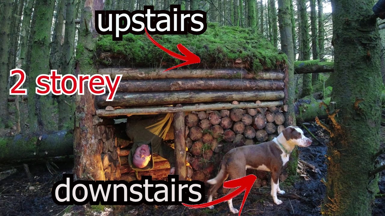 Building a 2 storey log hut in a forest with my dog Goji - YouTube