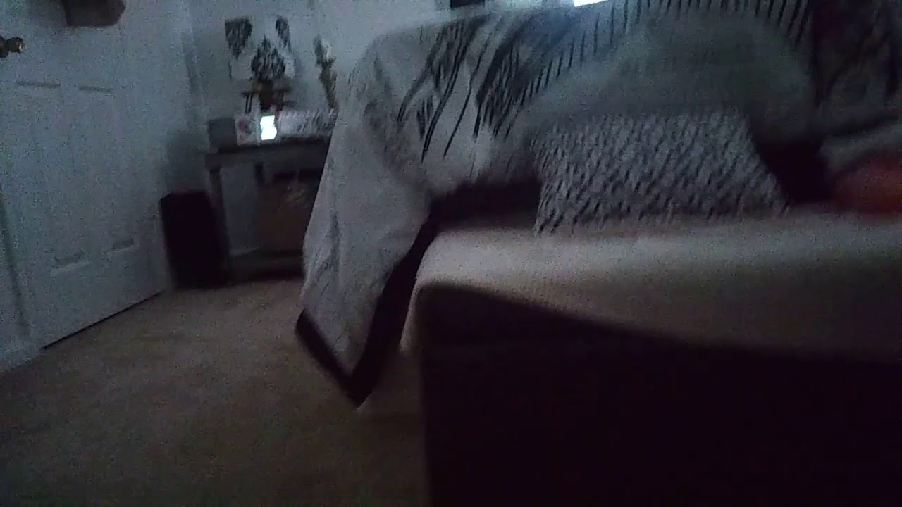 Fish Principles IXL - YouTube