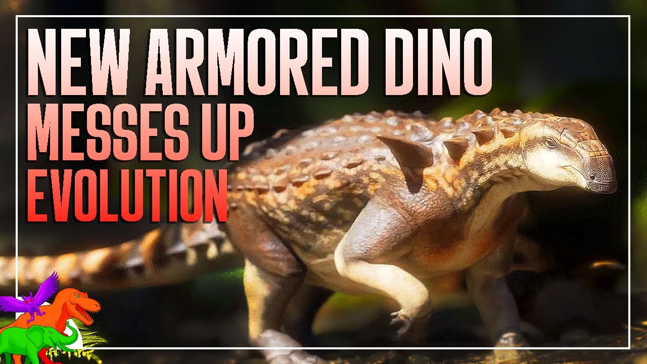 Patagopelta | New Tiny South American Ankylosaur NOT one of a kind ...