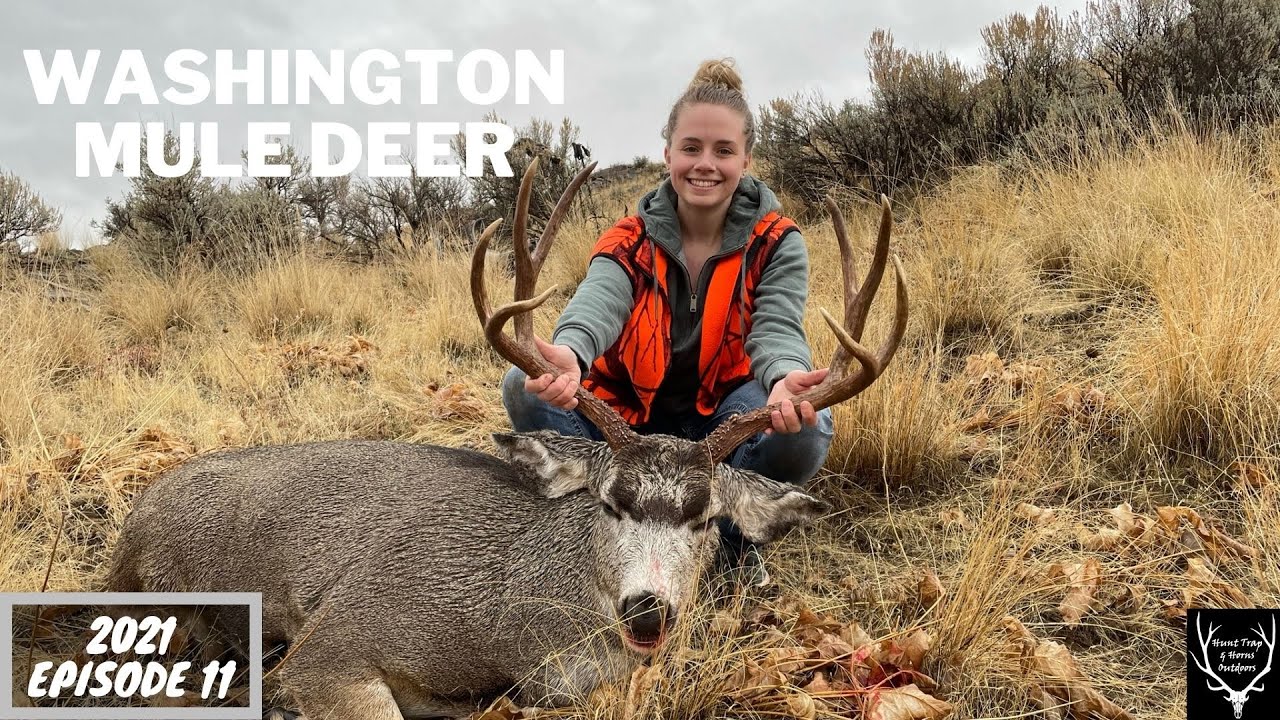 Washington Rifle Mule Deer Hunt | Biggest Buck Yet - YouTube