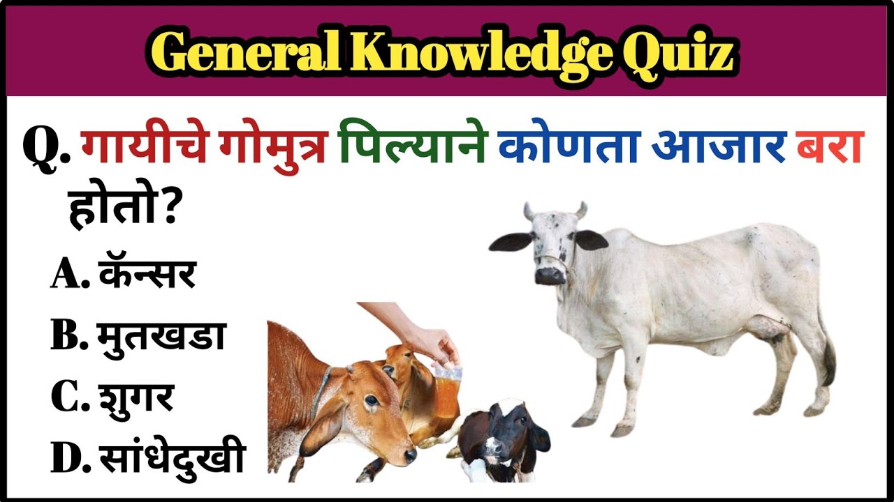 जनरल नॉलेज||Questions and Answers|| Quiz today||General knowledge in ...