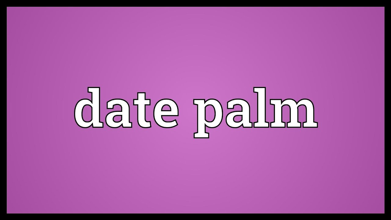 Date Palm Meaning YouTube date-palm-meaning-youtube