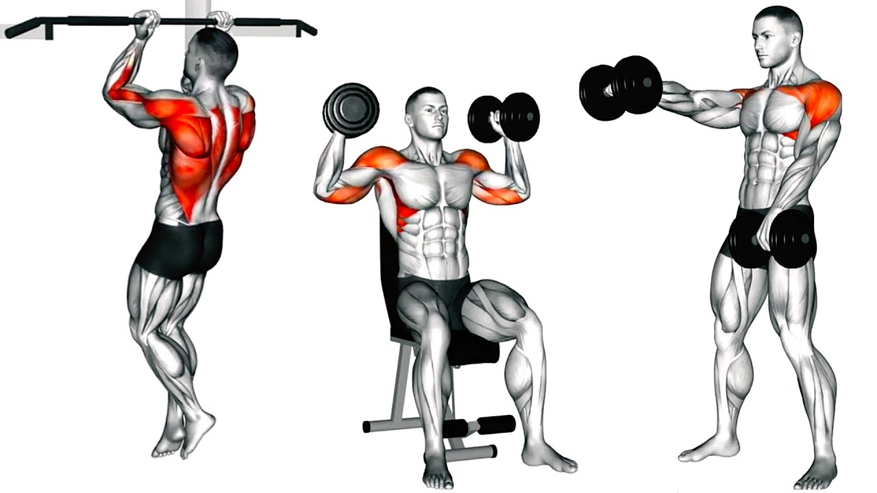 Arnold Schwarzenegger Workout Routine - YouTube