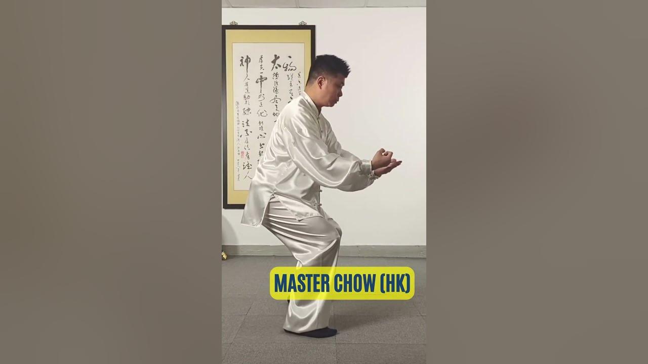 Chen Style Tai Chi: Silk Reeling Basics for Strength & Flexibility | Hong Kong Tai Chi Demo ...