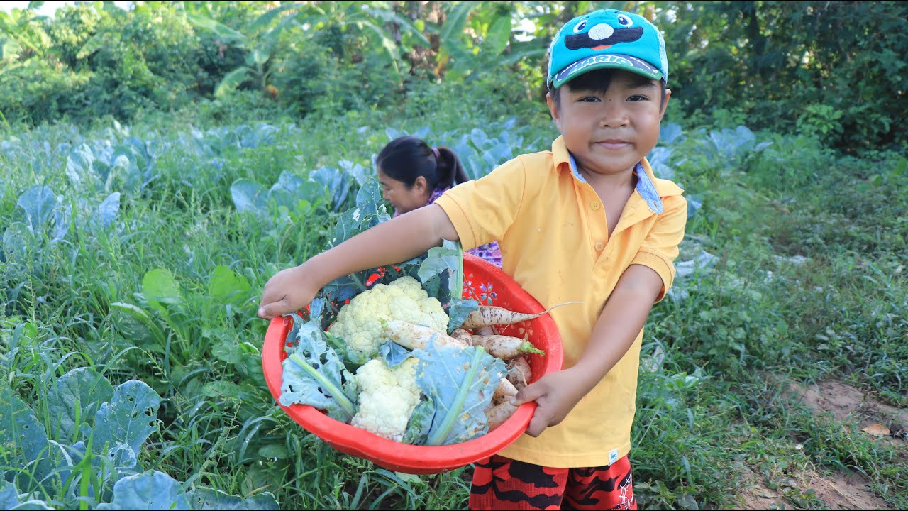 Seyhak harvest vegetable for mommy to cook / Family food cooking ...
